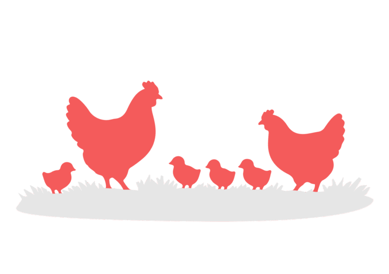 About Us – Avee Broiler